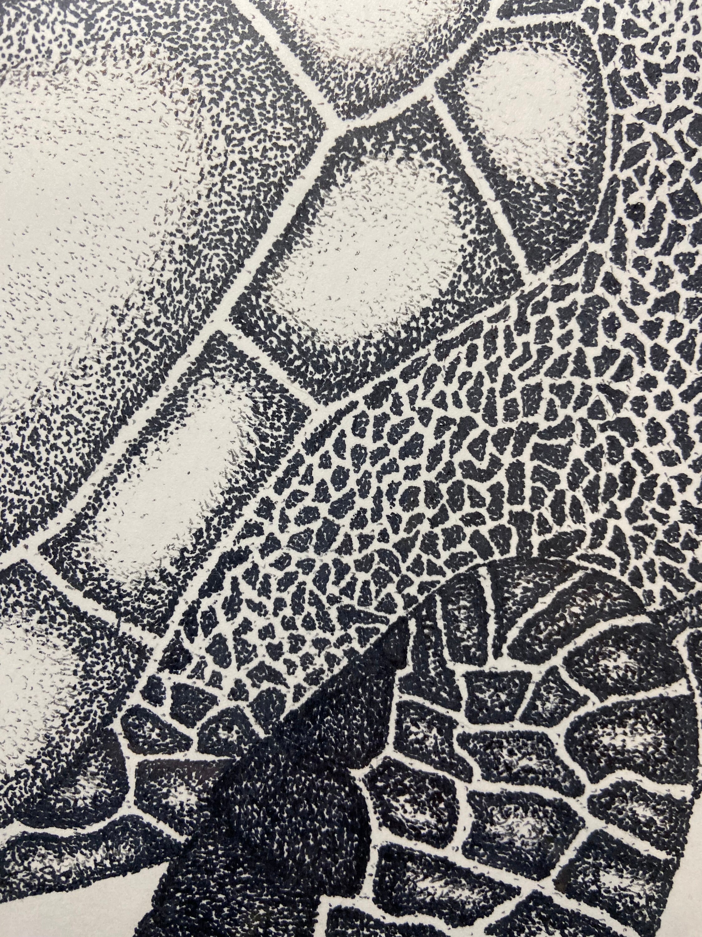 Original Turtle Pen and Ink Drawing - Nature-inspired Artwork Stippling ...
