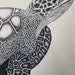 Original Turtle Pen and Ink Drawing - Nature-inspired Artwork Stippling ...