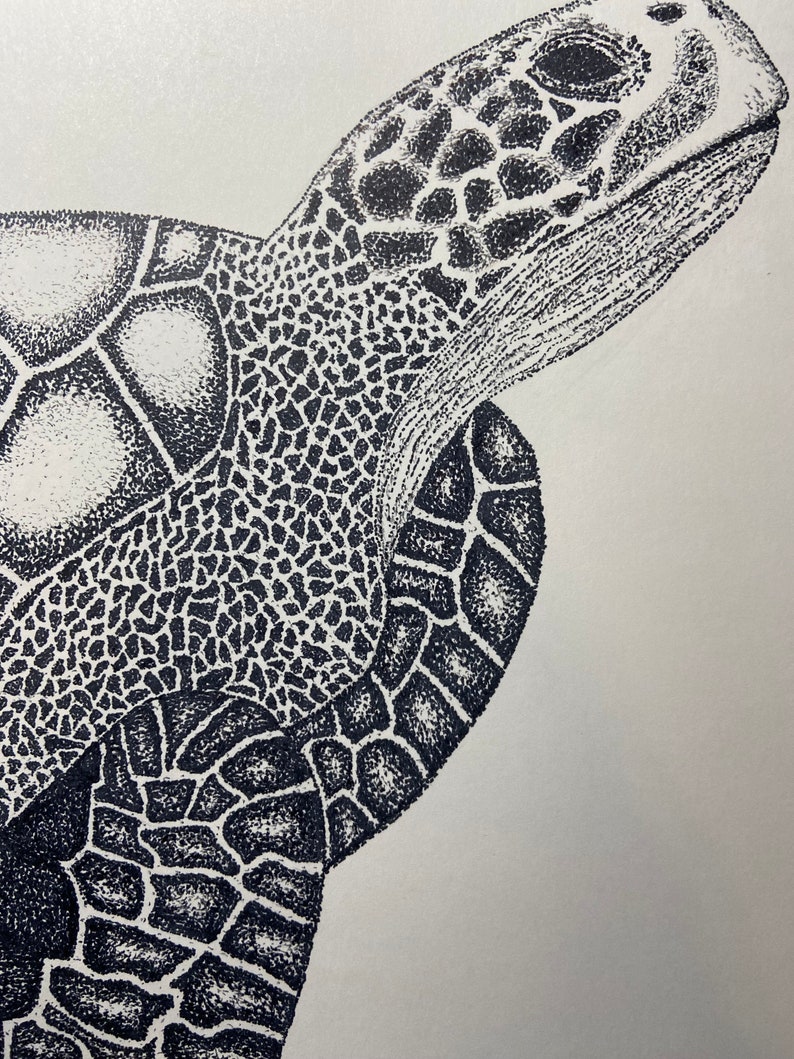 Original Turtle Pen and Ink Drawing - Nature-inspired Artwork Stippling ...