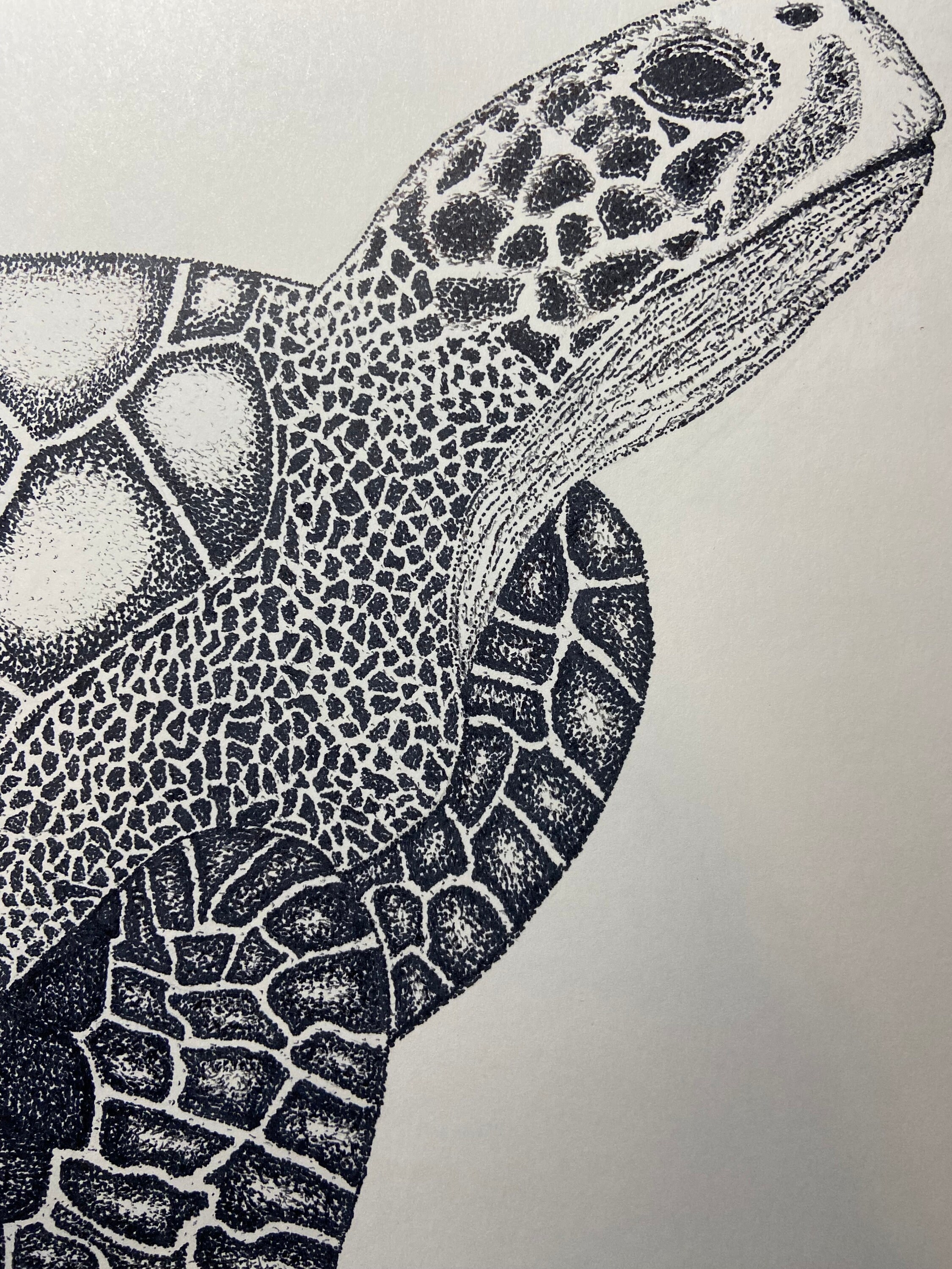 Original Turtle Pen and Ink Drawing - Nature-inspired Artwork Stippling ...