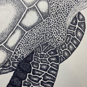 Original Turtle Pen and Ink Drawing - Nature-inspired Artwork Stippling ...