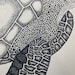 Original Turtle Pen and Ink Drawing - Nature-inspired Artwork Stippling ...