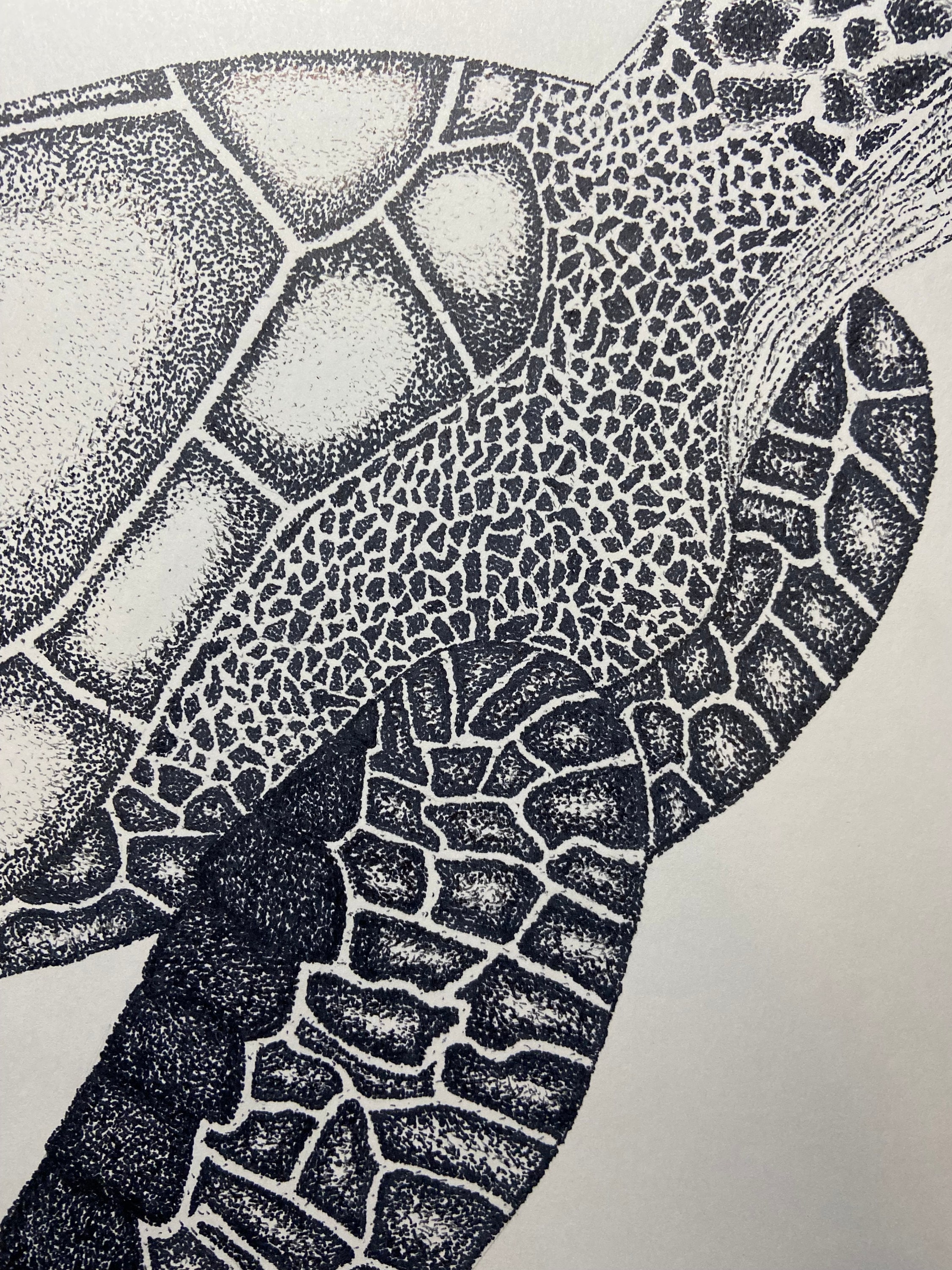Original Turtle Pen and Ink Drawing - Nature-inspired Artwork Stippling ...