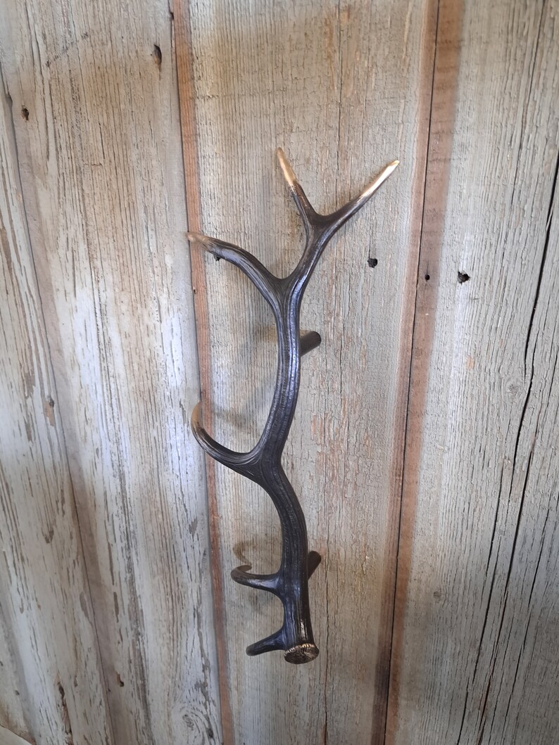 Bronze Elk Antler Door Handle - Etsy