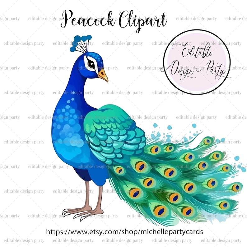 INSTANT DOWNLOAD, Peacock Clipart, Peacock Vector, Peacock PNG, Peacock ...