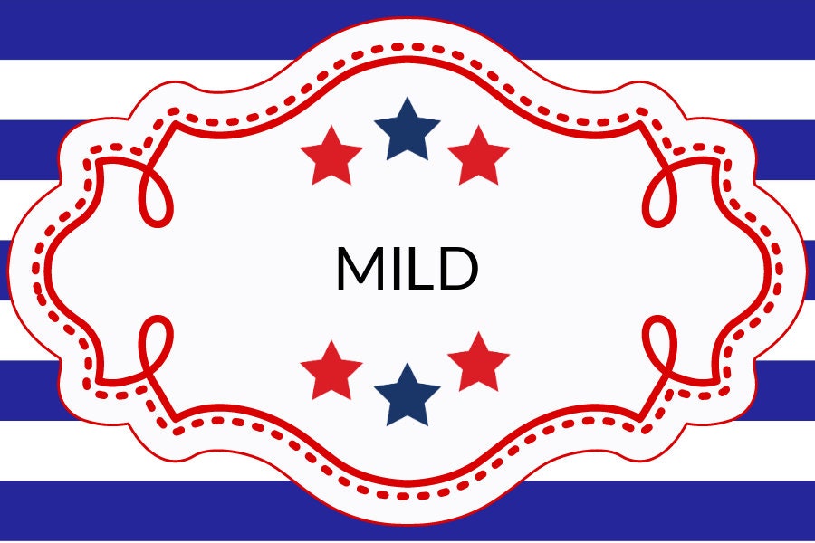 4th of July EDITABLE PRINTABLE Tent Cards Food Cards Name Place Cards ...