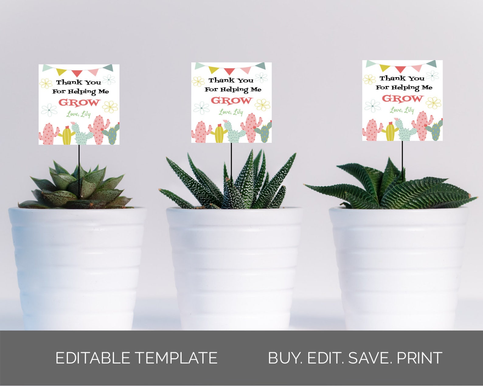 Cactus Thank You for Helping Me Grow Topper; Teacher Appreciation ...