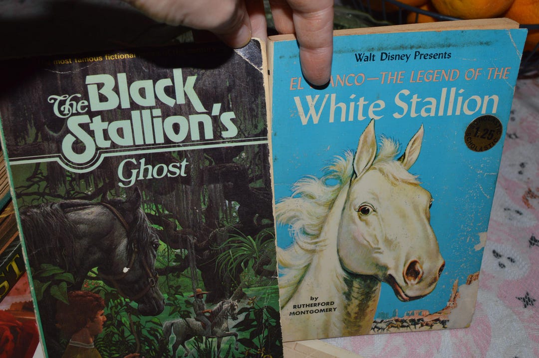 Set of Two Black Stallion's Ghost and Legend of the White Stallion PB ...
