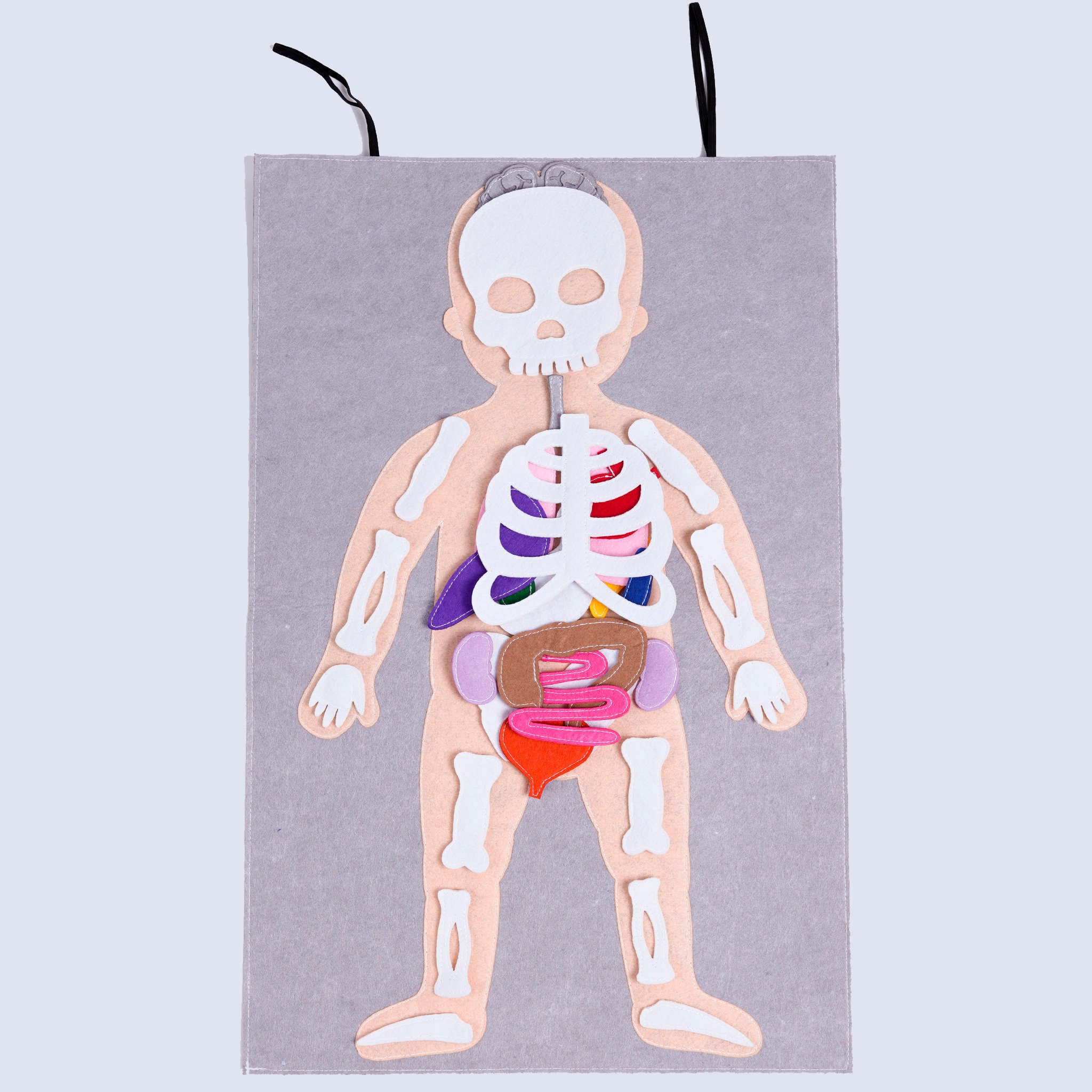 Human Anatomy Felt board Skeleton toy Felt Skeleton Toy for | Etsy