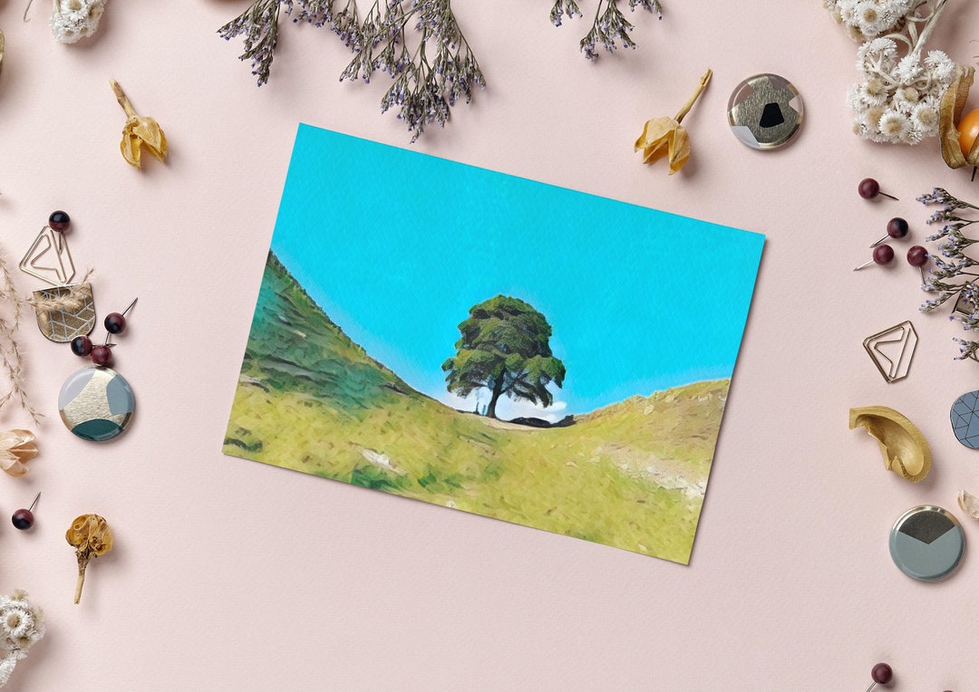 Sycamore Gap Tree Northumberland Greeting Card - Etsy