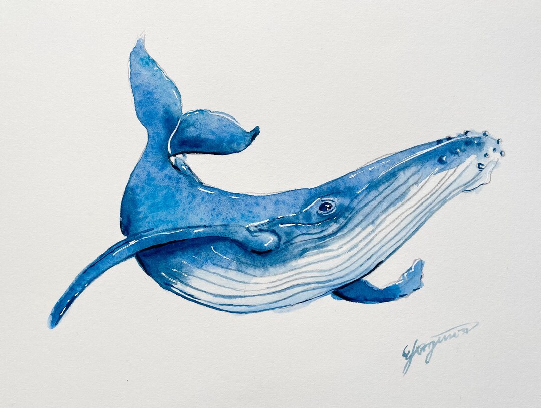 Original Hand Painted Whale Artwork, Humpback Whale, Hand-painted Wall ...
