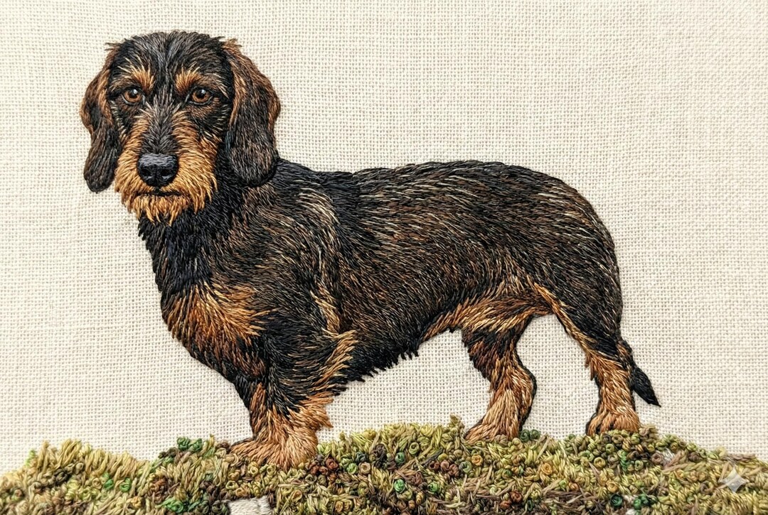 Wire-haired Dachshund Embroidery Pattern PDF - Etsy