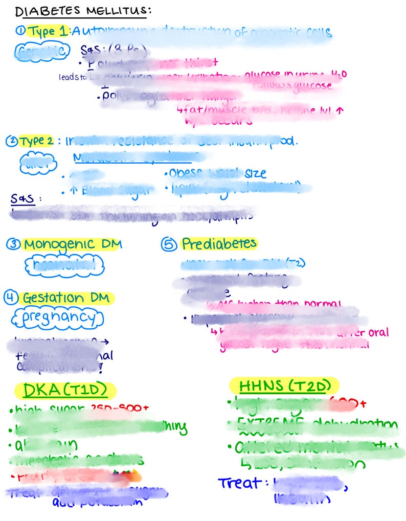 Endocrine Glands and Diabetes Study Guide - Etsy