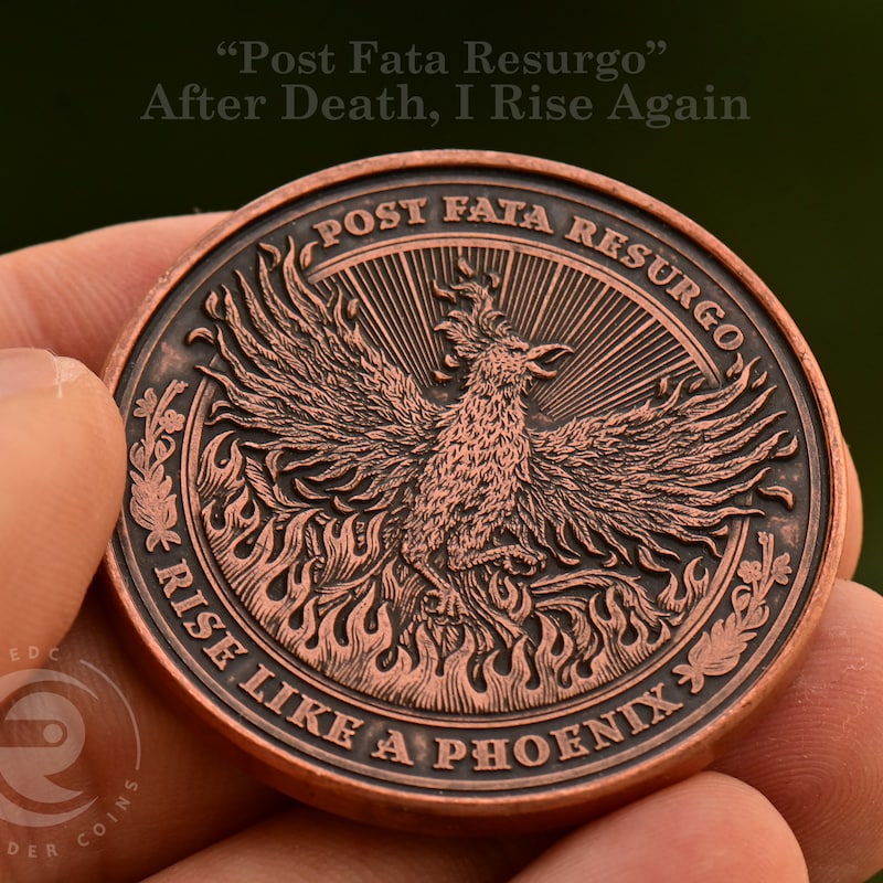 Dumpster Fire Challenge Coin - Etsy