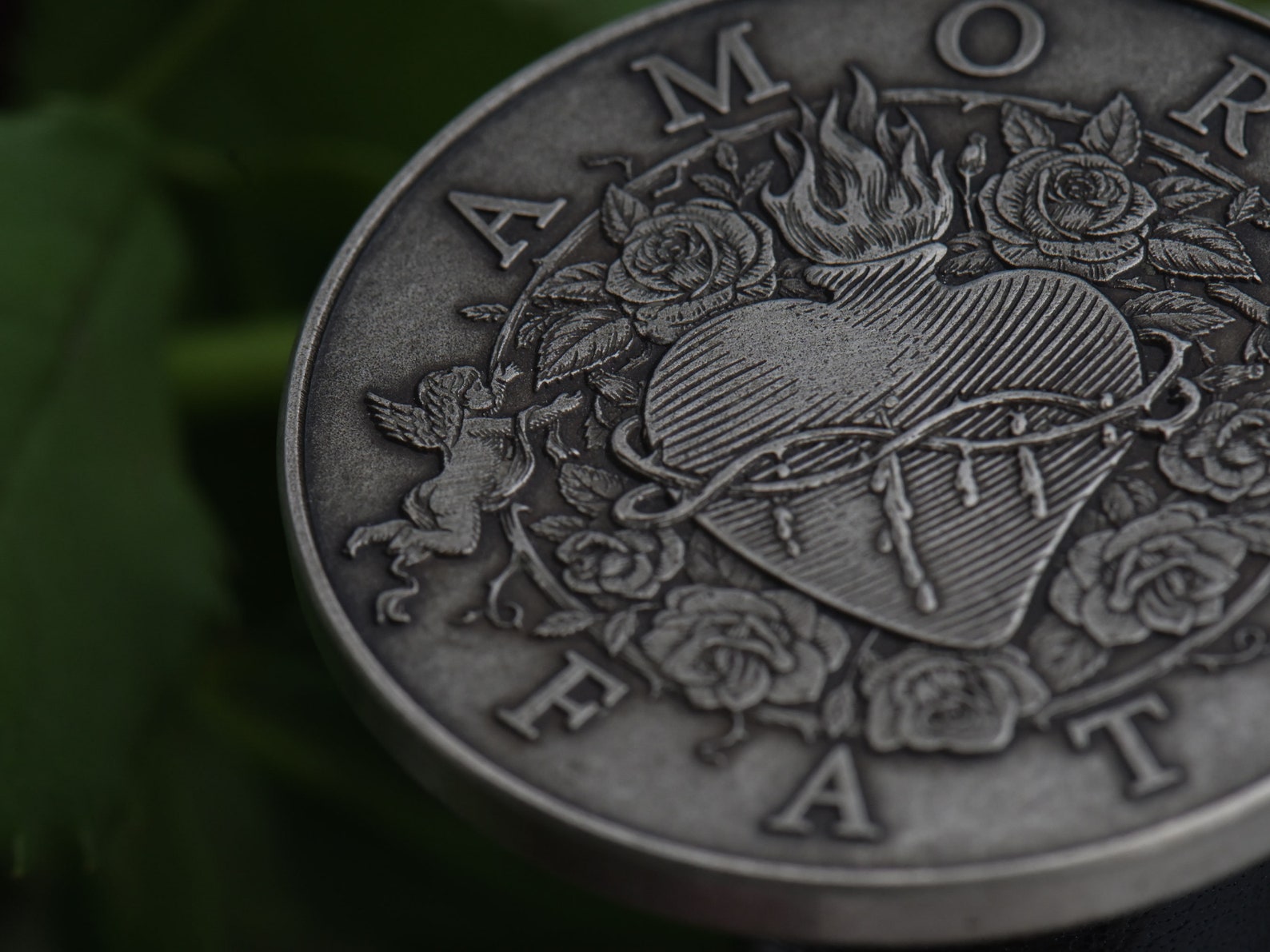 Amor Fati Coin| Stoicism | Love of Fate | Stoic Philosophy | Daily ...