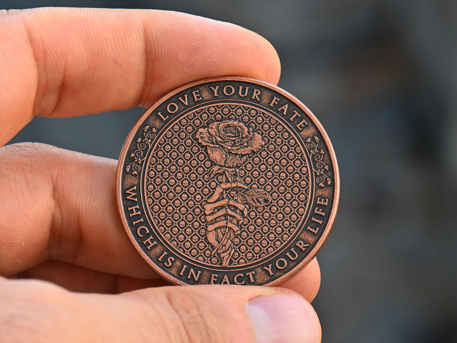 Amor Fati Coin | Stoicism | Love of Fate | Daily Stoic | Epictetus ...