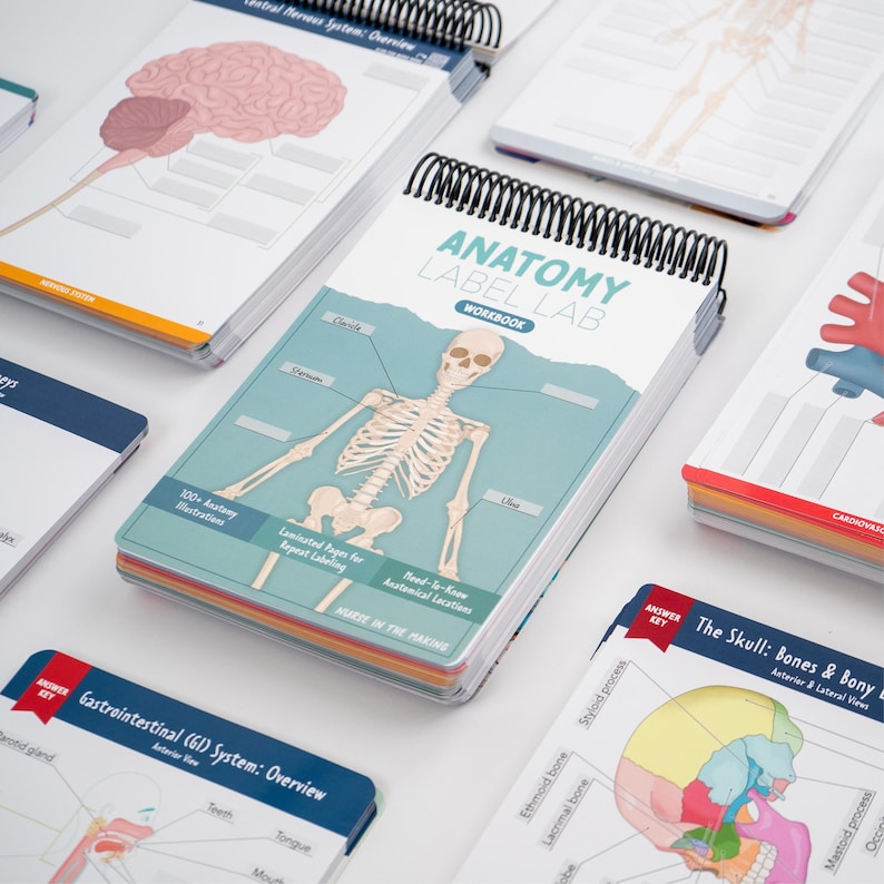 Anatomy Label Lab Workbook - Etsy