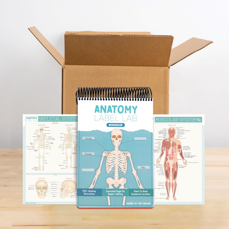 Anatomy Label Lab Workbook - Etsy