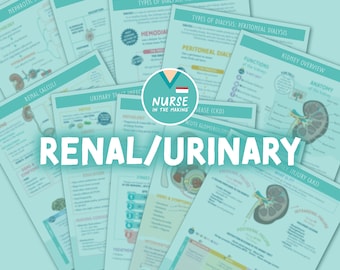 Urinary System Study Guide - Etsy