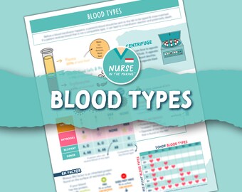 Blood Type Cheat Sheet - Etsy