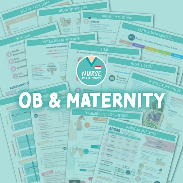 Maternity Study Guide - Etsy