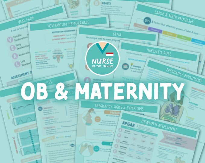 NurseInTheMaking - Etsy Canada