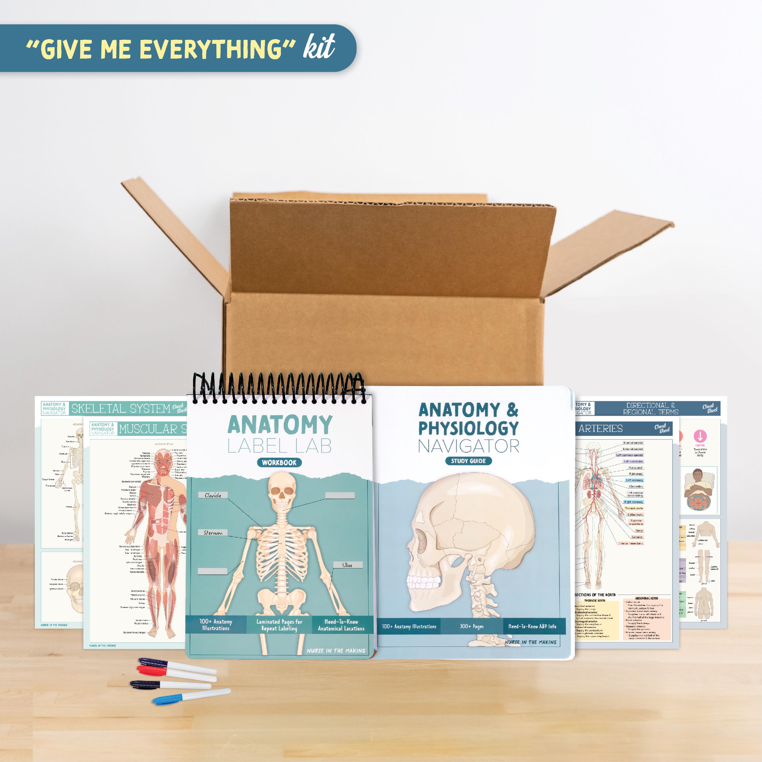 Anatomy Label Lab Workbook - Etsy