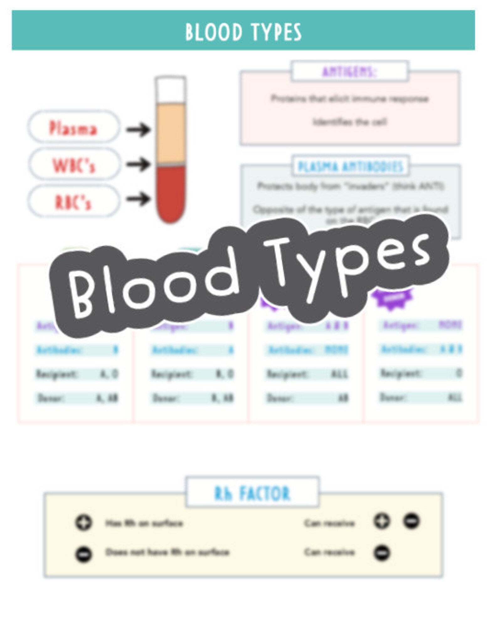 Blood Types Cheat Sheet | Etsy