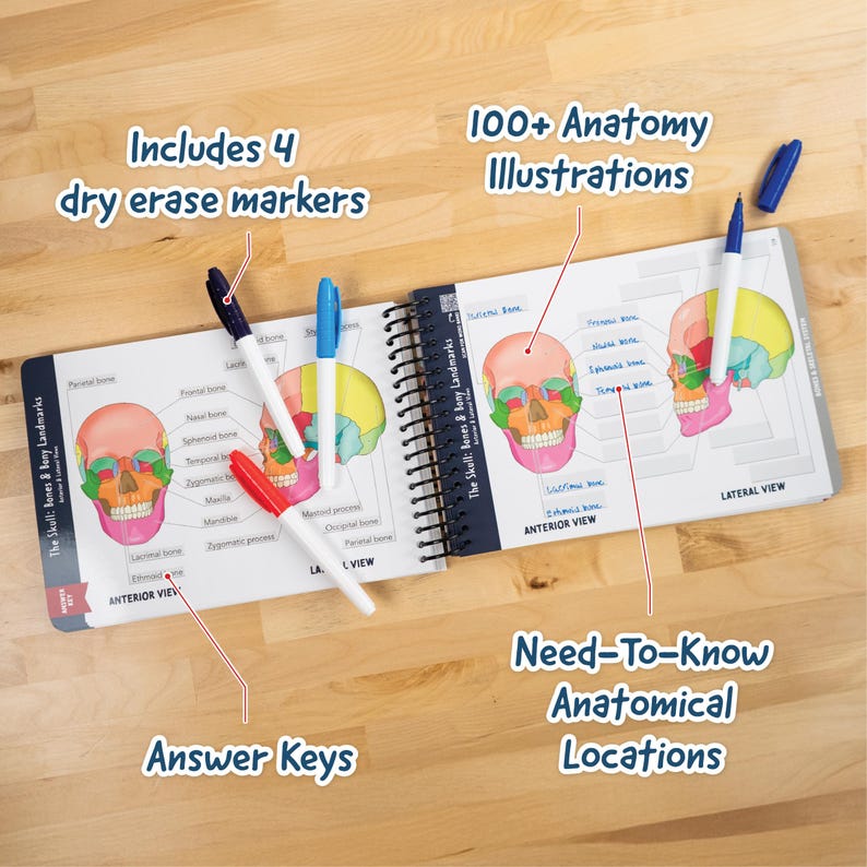 Anatomy Label Lab Workbook - Etsy