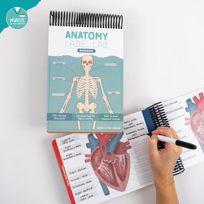 Anatomy Label Lab Workbook - Etsy