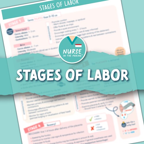Nursing Cheat Sheet for Maternal Newborn 5 P's of Labor - Etsy