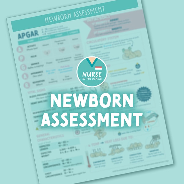 Newborn Assessment Guide Template - Etsy