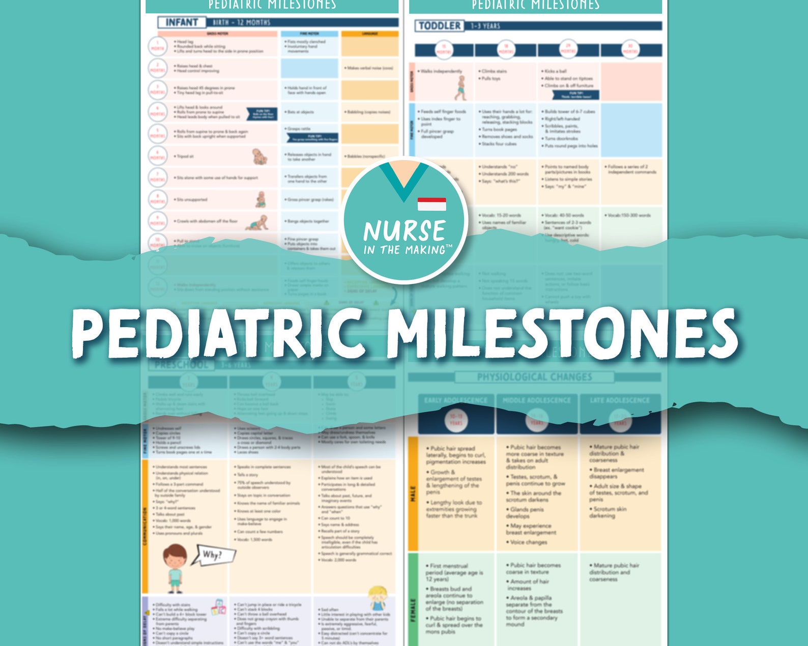 Pediatric Developmental Milestones / PEDS Nursing School | Etsy
