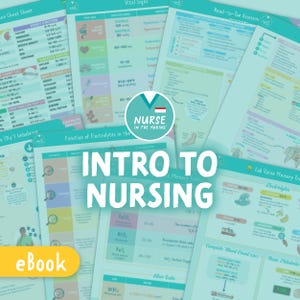 NurseInTheMaking - Etsy Australia