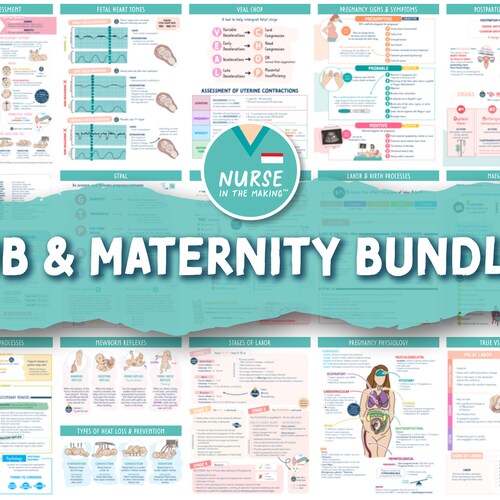 Ob/maternity Nursing Bundle Nursing Notes Digital Download - Etsy
