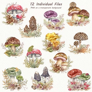 Forest Mushrooms Clipart. Mushroom Watercolor Clipartmushrooms. Autumn ...