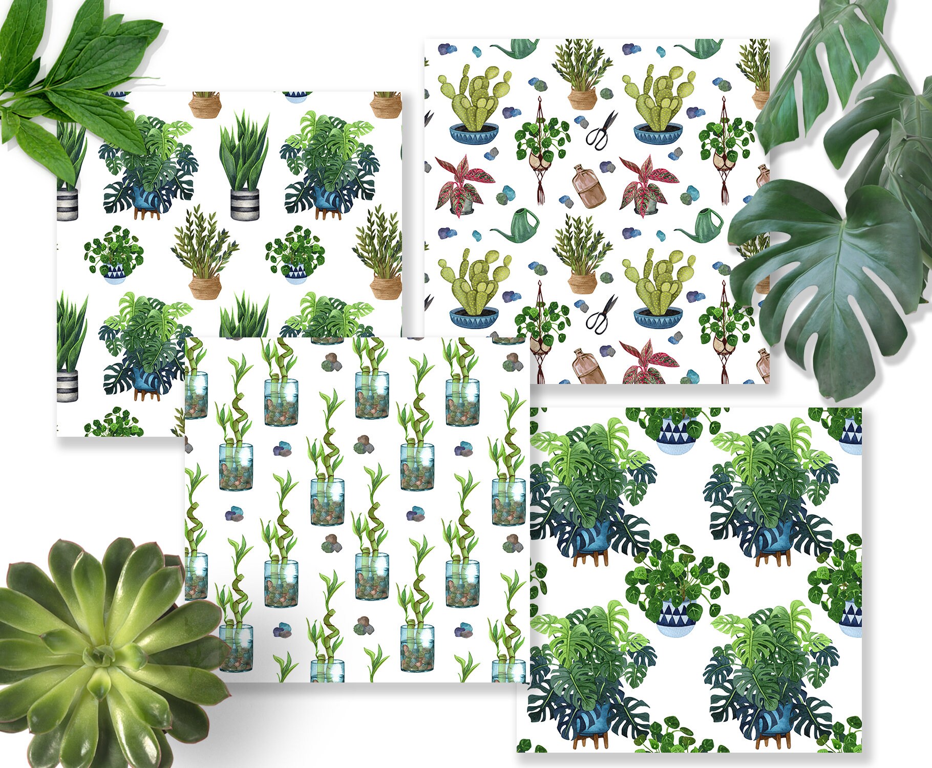 12 Watercolor Plants Seamless Patterns. House Plants Digital - Etsy