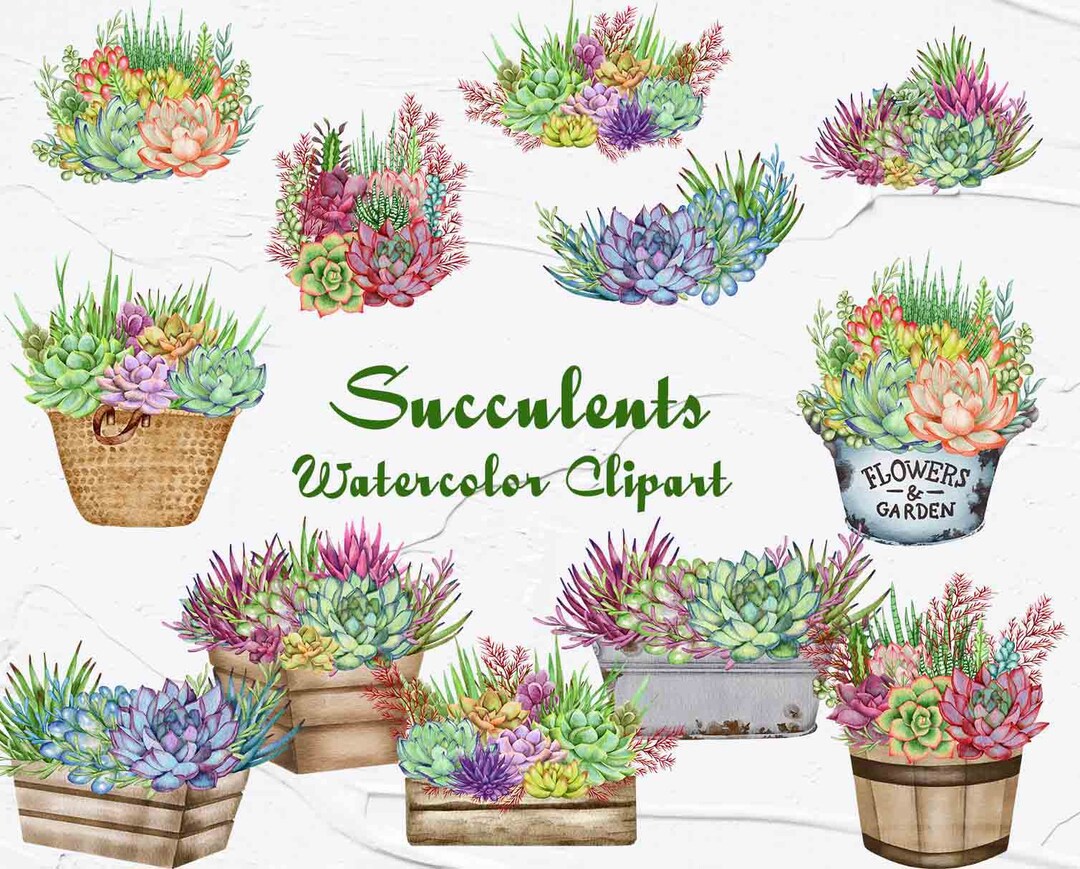 Succulent Watercolor Clipart. Houseplants Watercolor Clip Art. Cacti ...