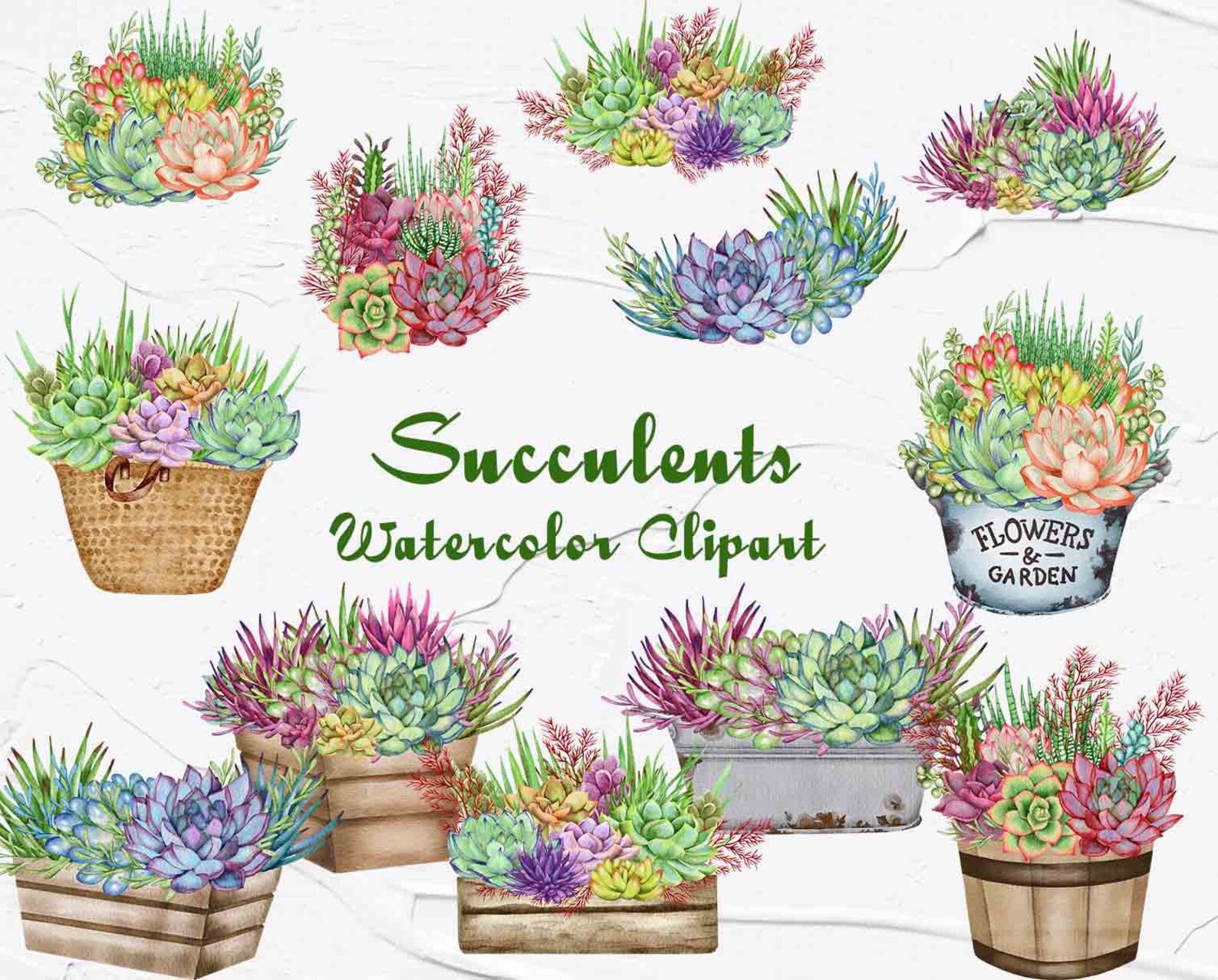 Succulent Watercolor Clipart. Houseplants Watercolor Clip Art. - Etsy