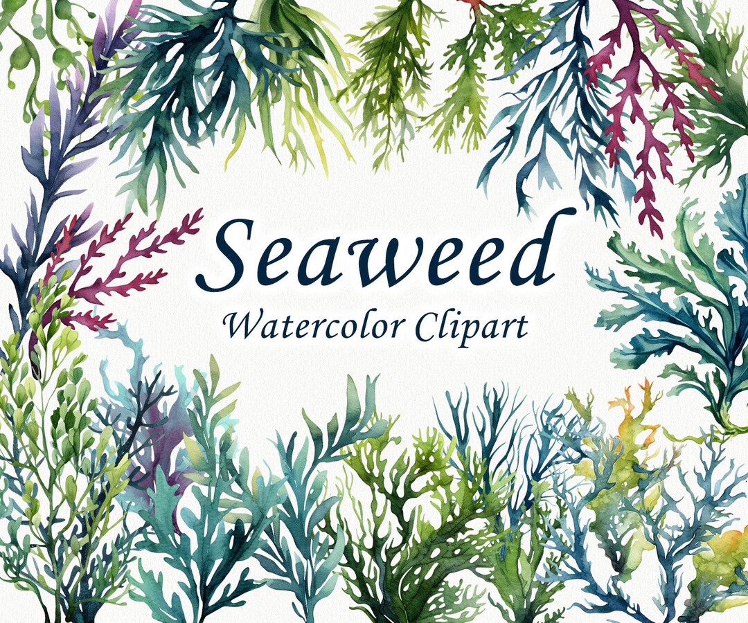 Seaweed Watercolor Clipart. Coral Reef Clipart. Tropical Clipart. Ocean ...