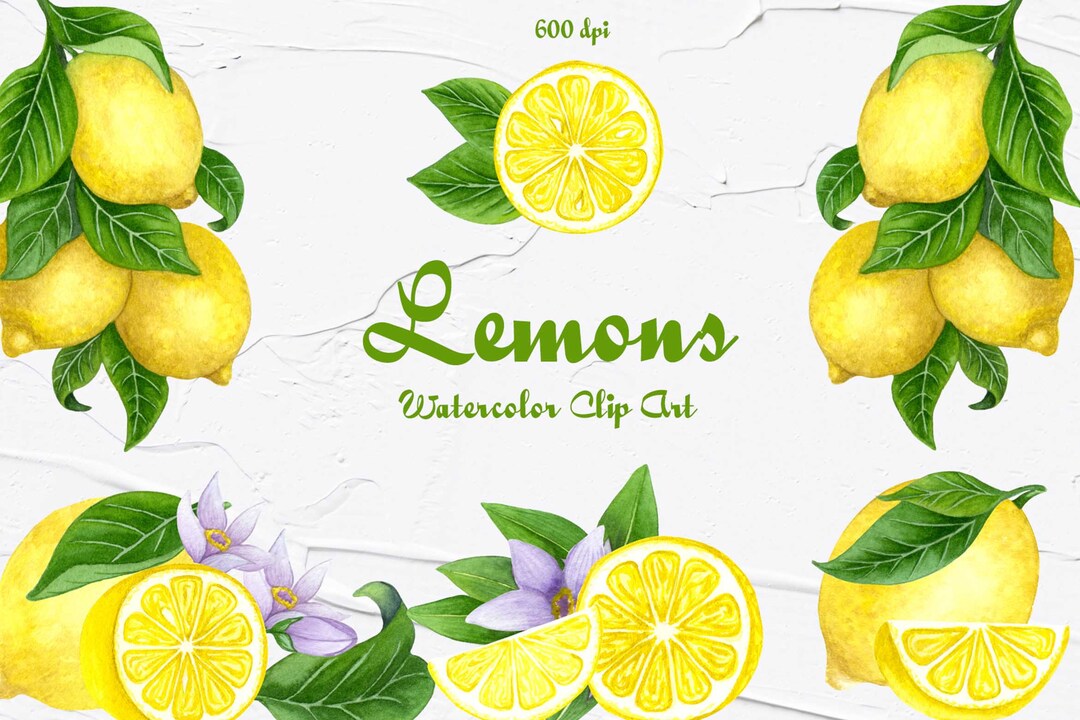 Lemon Watercolor Clipart. Lemon Tree Art. Summer Lemons Clipart, Lemon ...