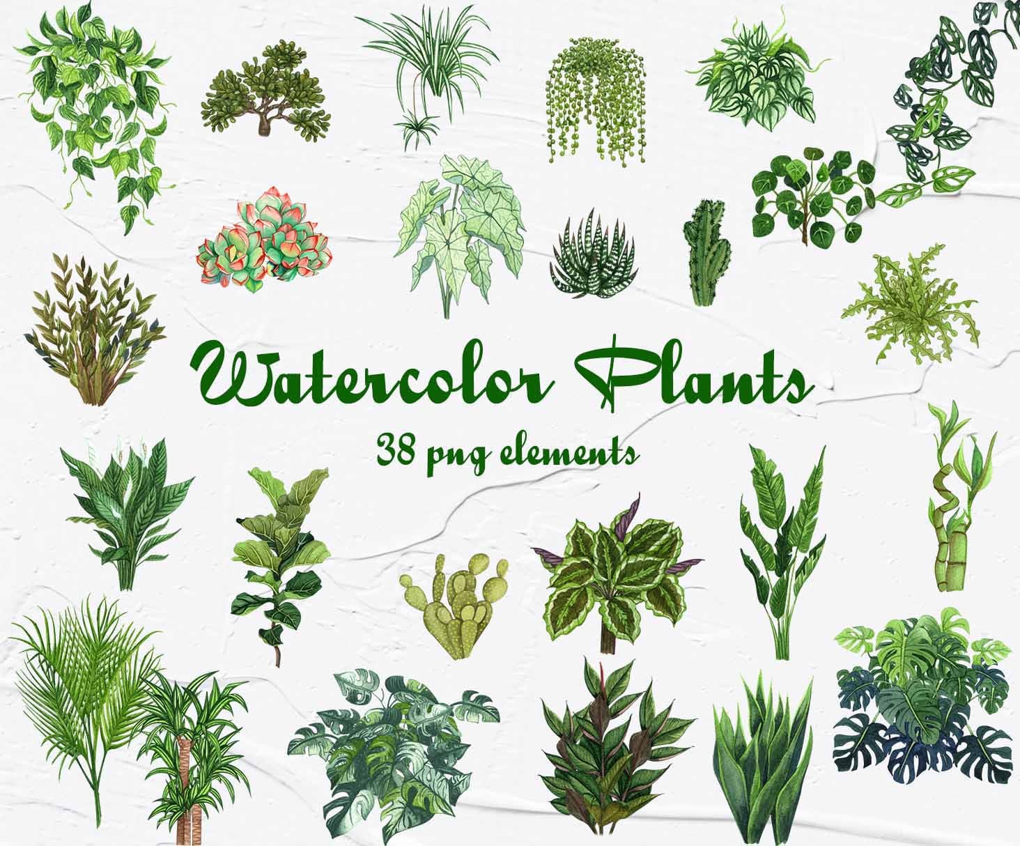 Watercolor Plants Clipart. House Plants Clipart. Indoor Plants - Etsy