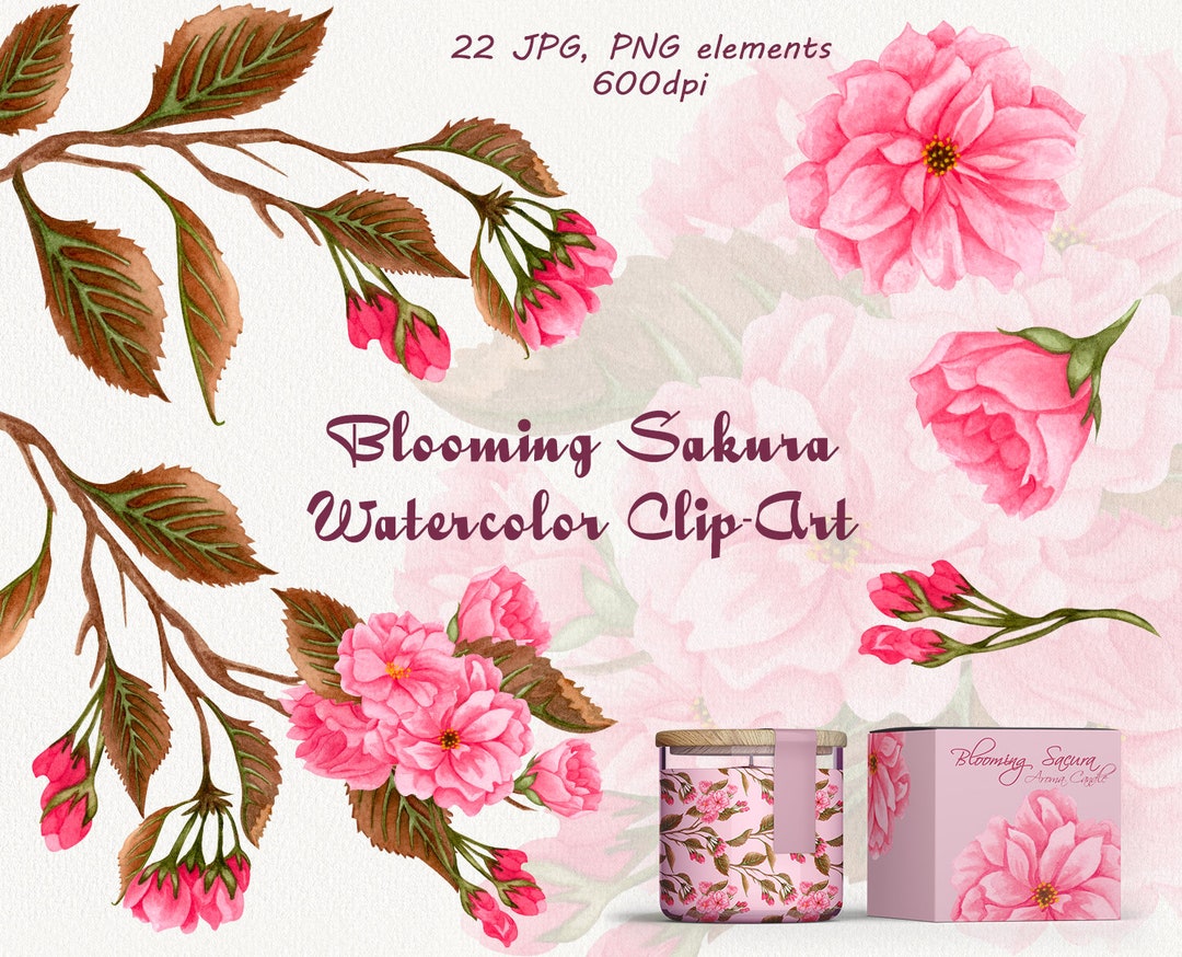 Blooming Sakura Watercolor Cherry Blossom Set. Spring Flower Clip Art ...
