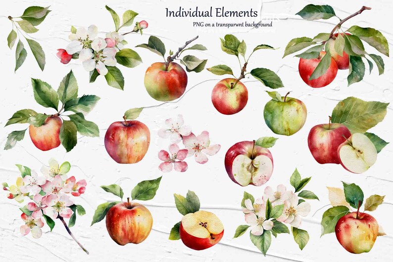Apple Watercolor Clipart. Apple Harvest Clipart. Apple Tree - Etsy