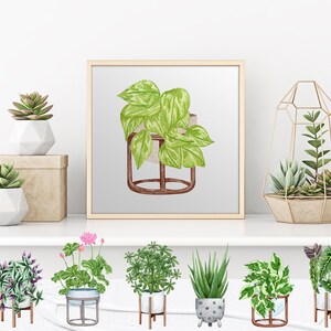 Watercolor Plant Big Collection. House Plants Clip Art. Indoor Plants ...