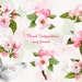 Apple Blossom Watercolor Set. Realistic Flower Clip Art for Instant ...