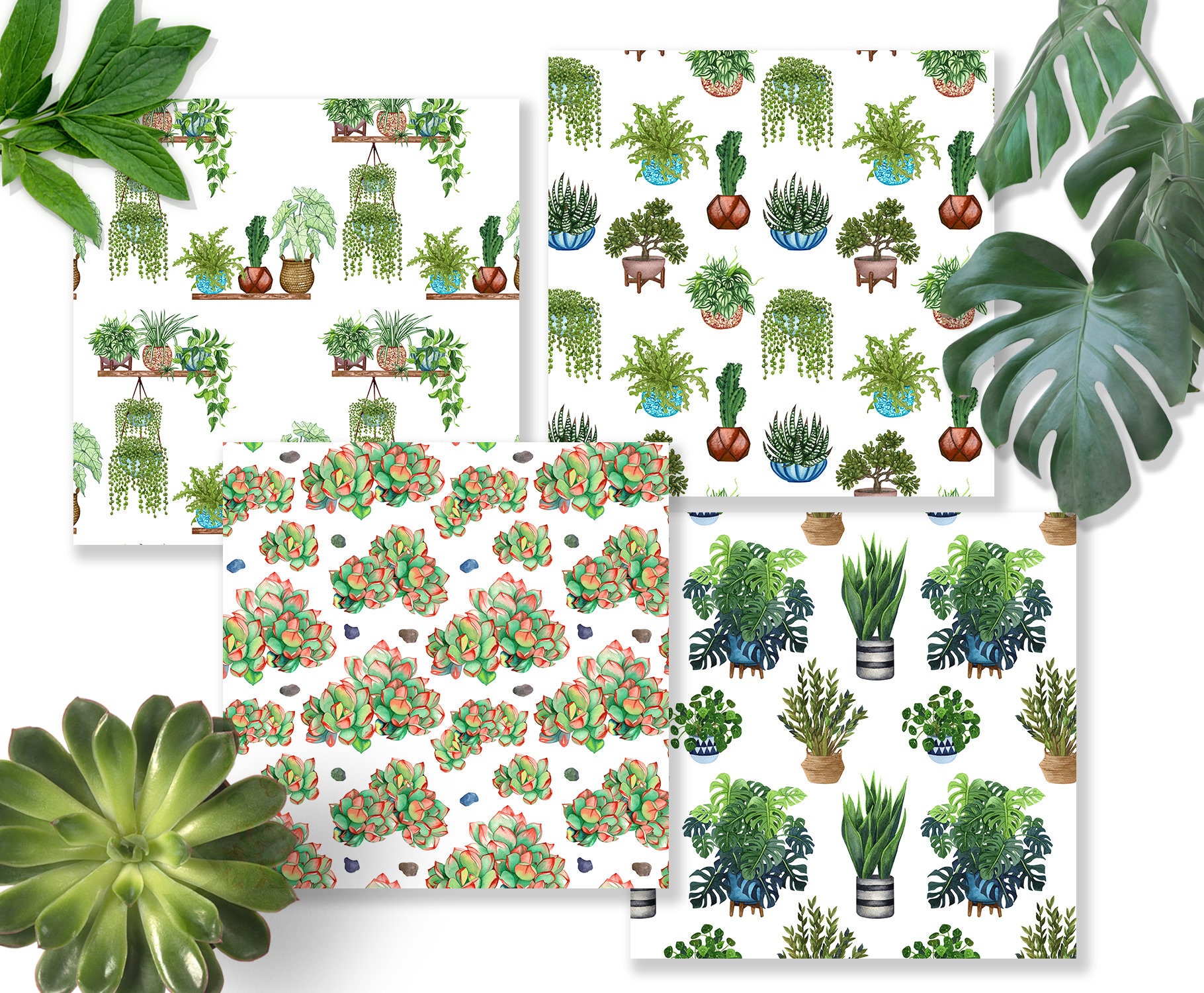 12 Watercolor Plants Seamless Patterns. House Plants Digital Paper ...