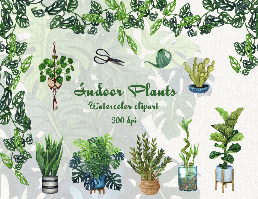Indoor Plants Watercolor Clipart. Houseplants Clipart. Potted Plants ...