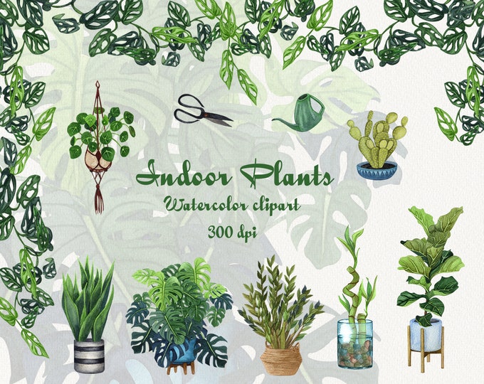 House Plants Bundle. House Plants Clipart. Watercolor Plants Bundle ...