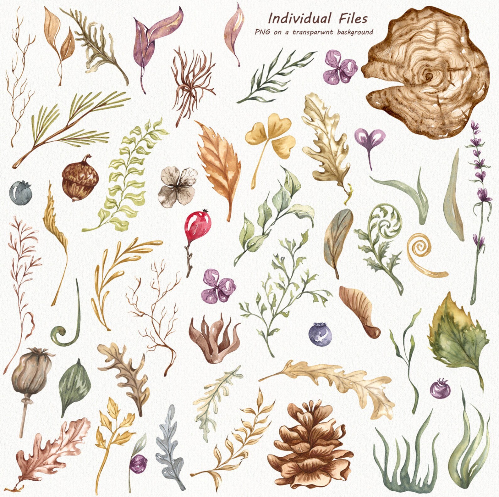 Forest Clipart. Forest Leaves Watercolor Clipart. Watercolor Foraging ...